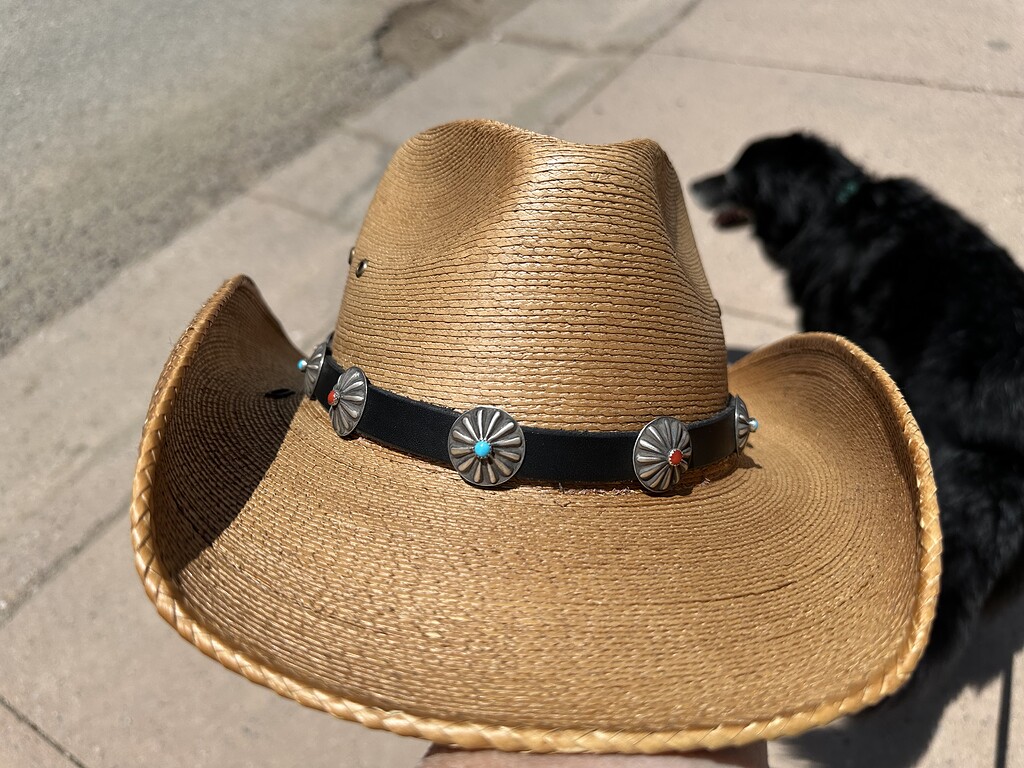 Concho Hat Band - Show & Tell - Turquoise People