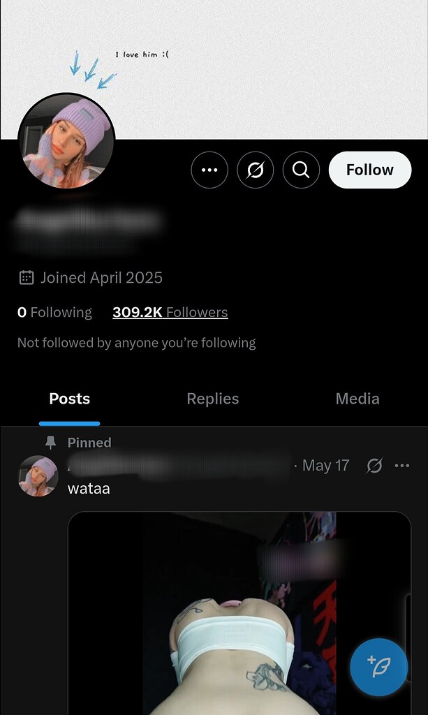 NSFW Twitter account with 300k followers - Twitter (X.com) Accounts - SWAPD